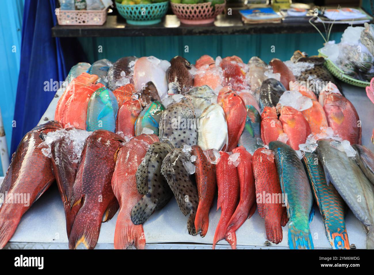 Colorful tropical fishes at a stand at a seafood market in Labuan Bajo ...