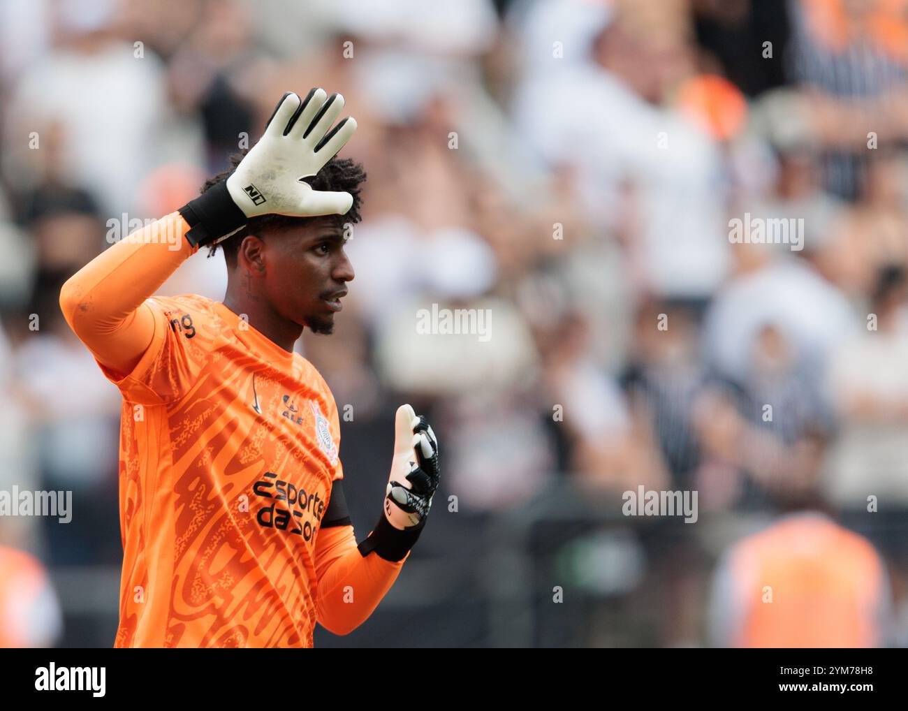 Sao Paulo, Brazil. 08th November, 2024. Soccer Football - Brazilian ...