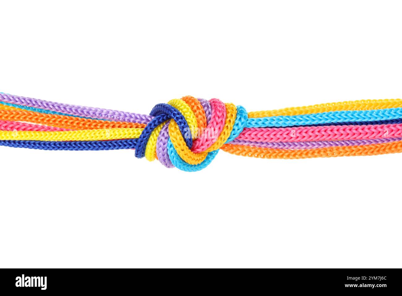 Colorful ropes tied in knot isolated on white. Unity concept Stock ...
