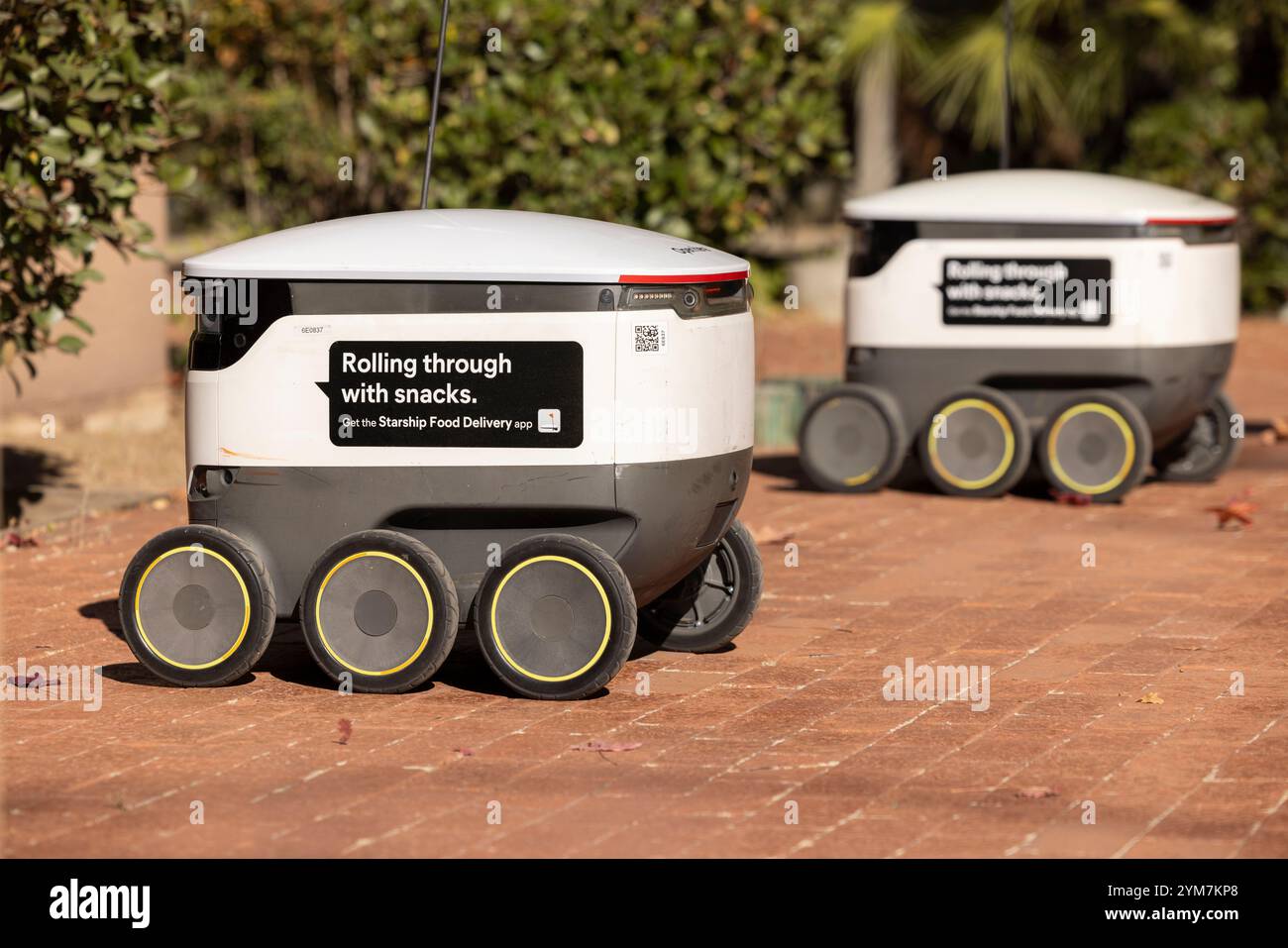 Los Angeles, California, USA - November 16, 2024: A Starship ...