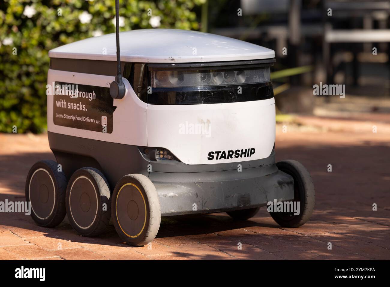 Los Angeles, California, USA - November 16, 2024: A Starship ...
