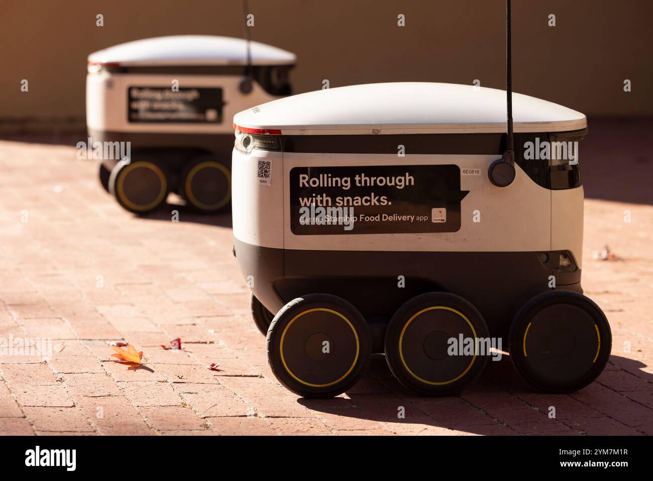 Los Angeles, California, USA - November 16, 2024: A Starship ...