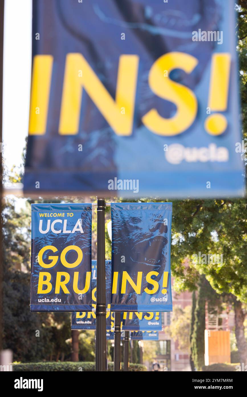 Westwood, Los Angeles, California, USA - November 16, 2024: Morning ...