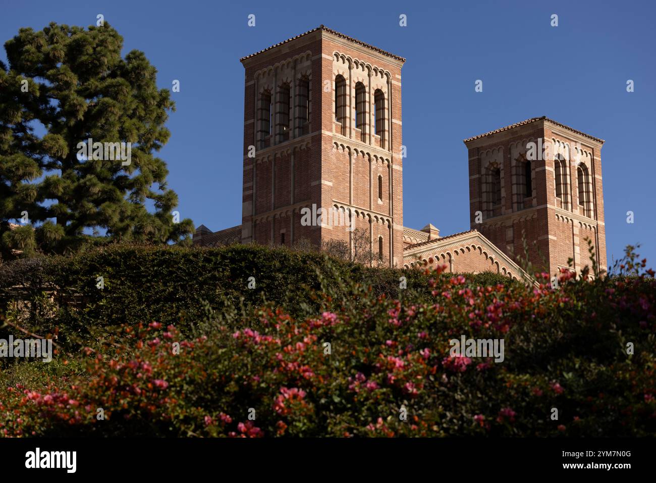 Westwood, Los Angeles, California, USA - November 16, 2024: Morning ...