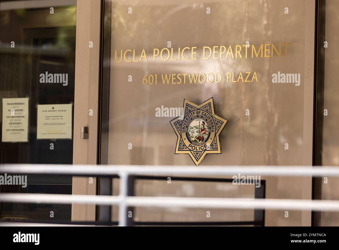 Westwood Village, Los Angeles, California, USA - November 16, 2024 ...