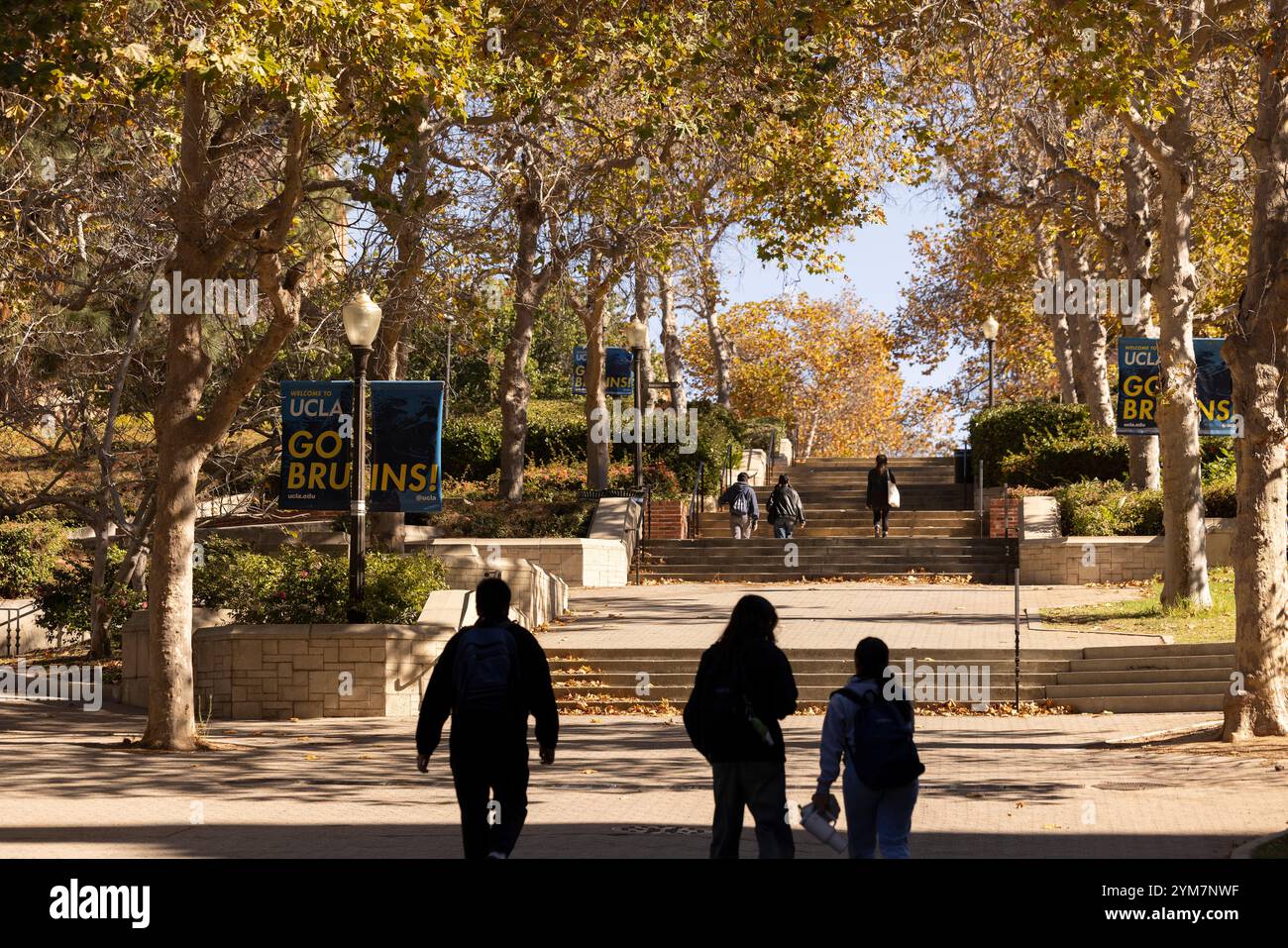 Westwood, Los Angeles, California, USA - November 16, 2024: Students ...