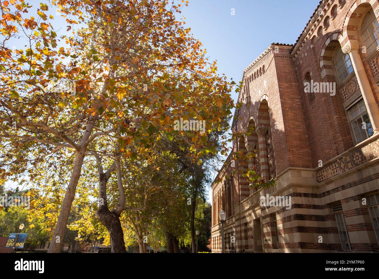 Westwood, Los Angeles, California, USA - November 16, 2024: Morning ...