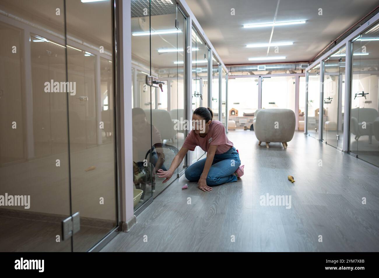 Female staff introduce new cat to activitiy through glass door of suit ...