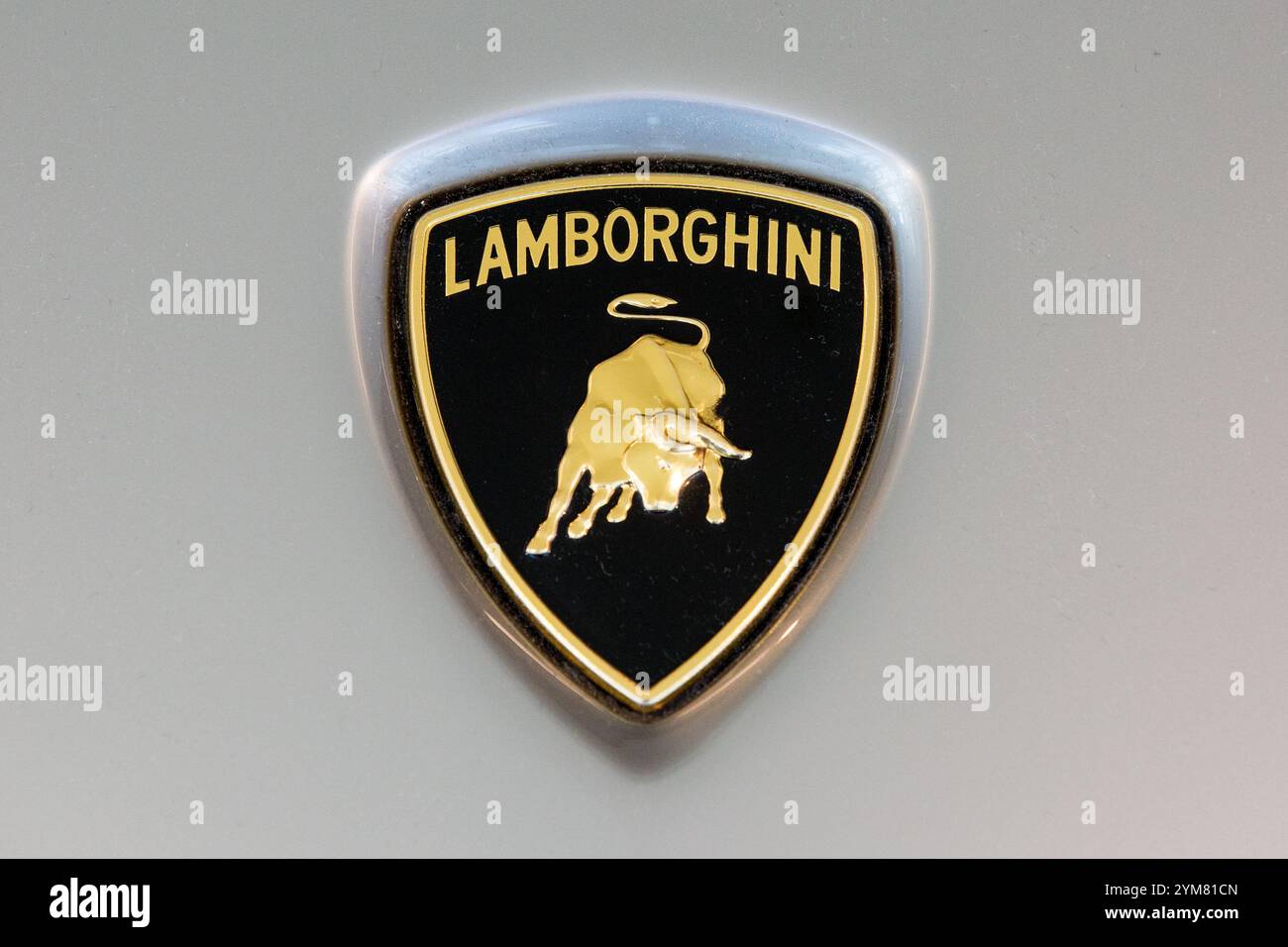 Lamborghini brand emblem with a raging bull on the hood of the ...