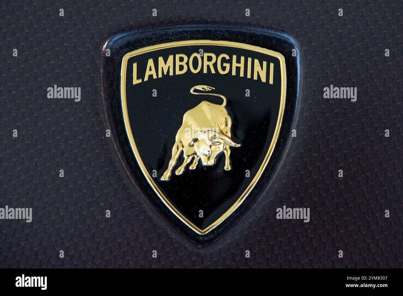 Lamborghini brand emblem with a raging bull on the hood of the ...