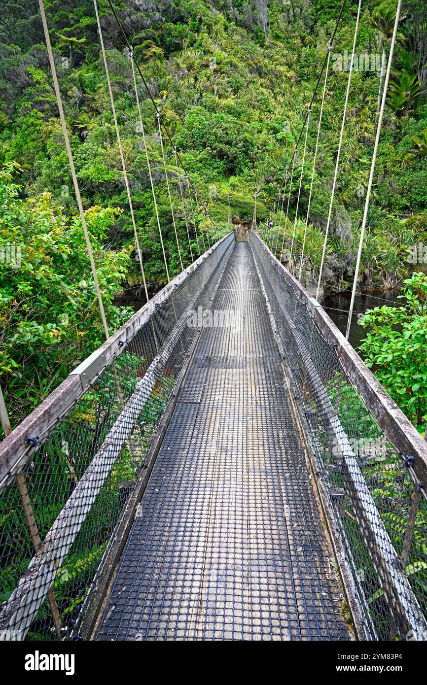 Native bush west coast hi-res stock photography and images - Alamy