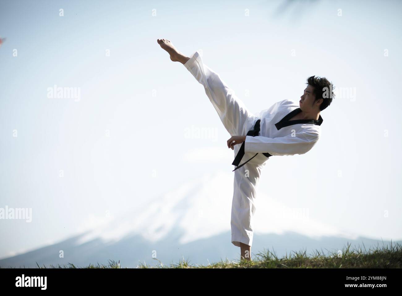 Taekwondo kick hi-res stock photography and images - Alamy