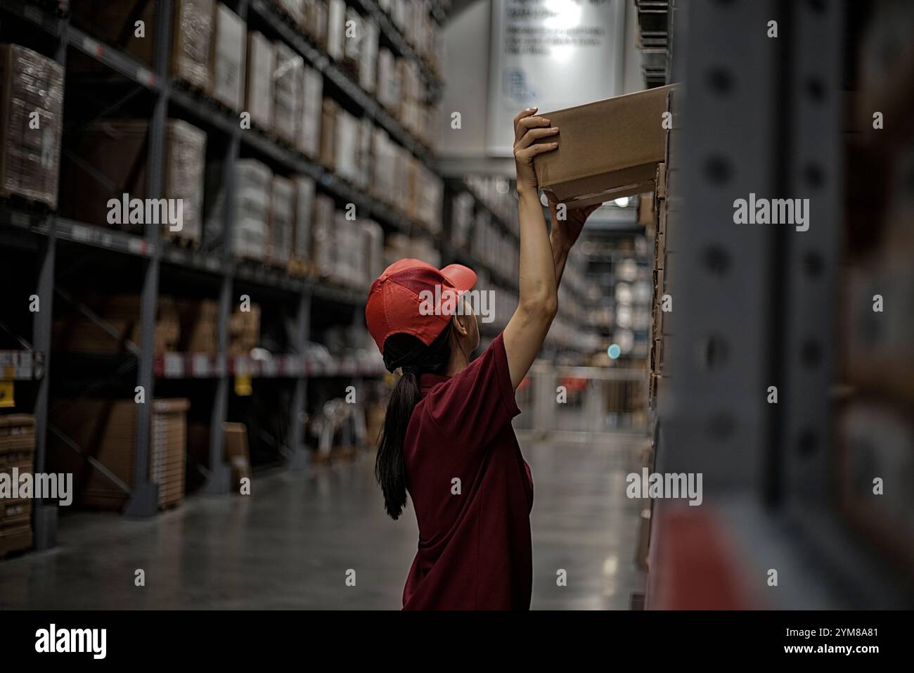Woman putting together a box of goods in a logistics warehouse Stock ...