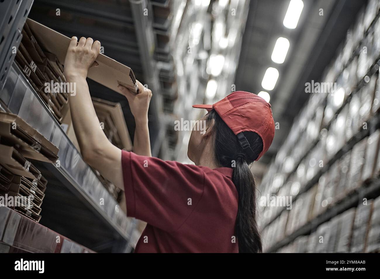 Woman putting together a box of goods in a logistics warehouse Stock ...