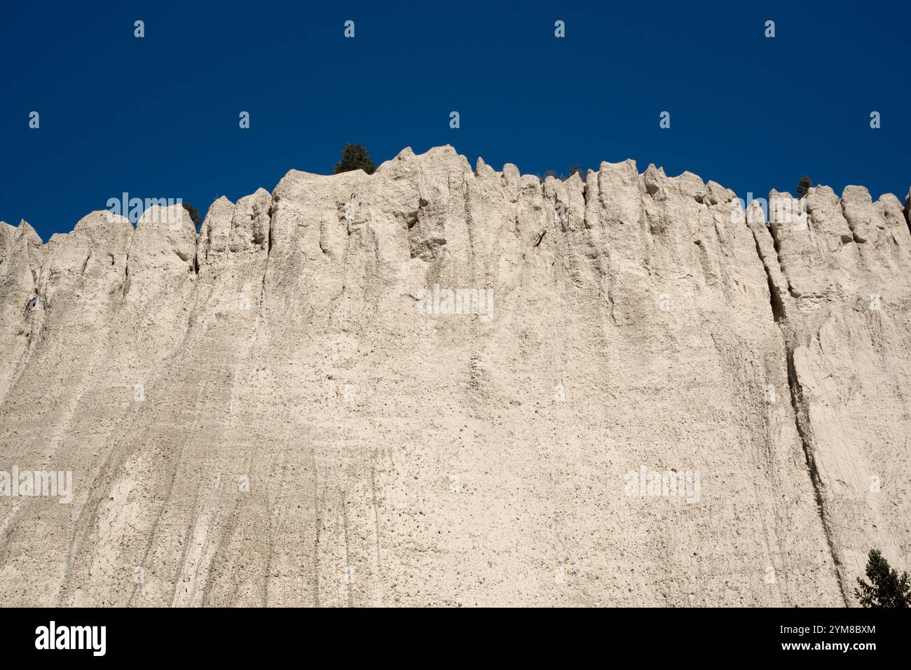 Alien lilke hi-res stock photography and images - Alamy