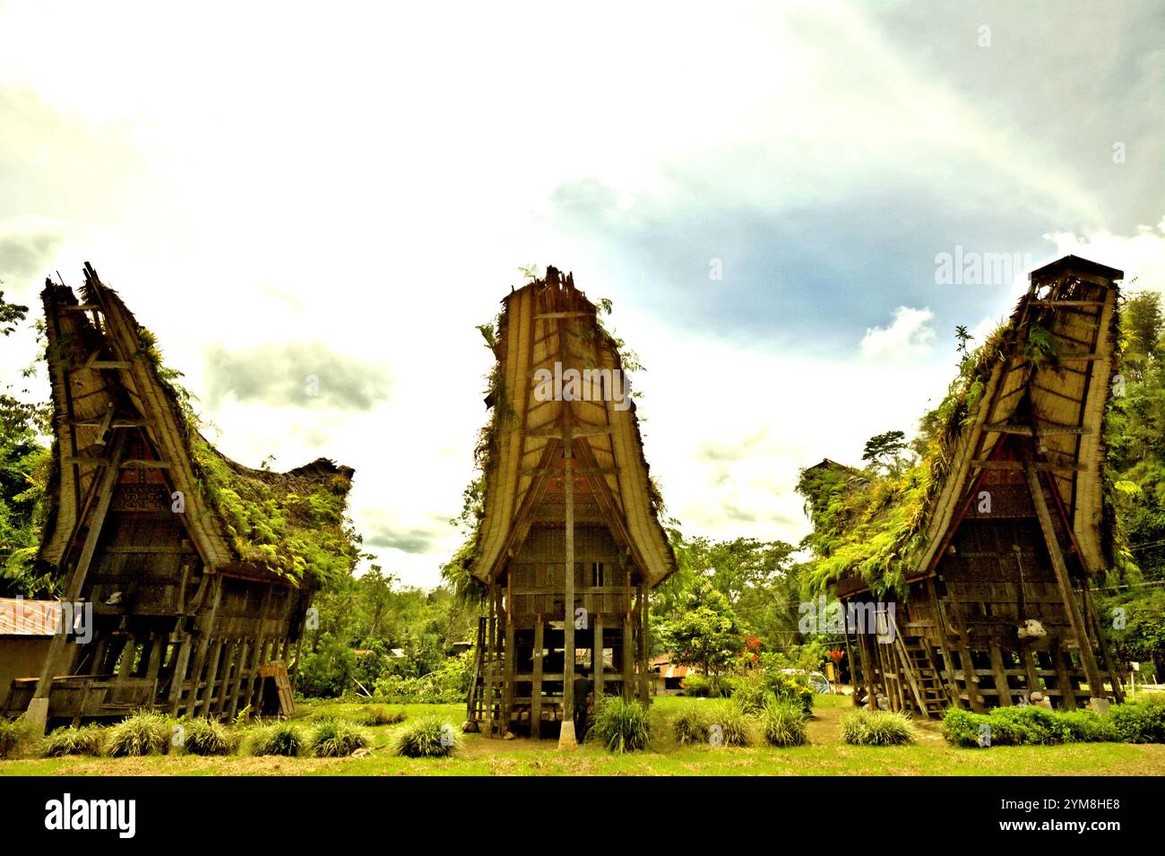 Granaries built in traditional tongkonan architecture in Kete Kesu ...