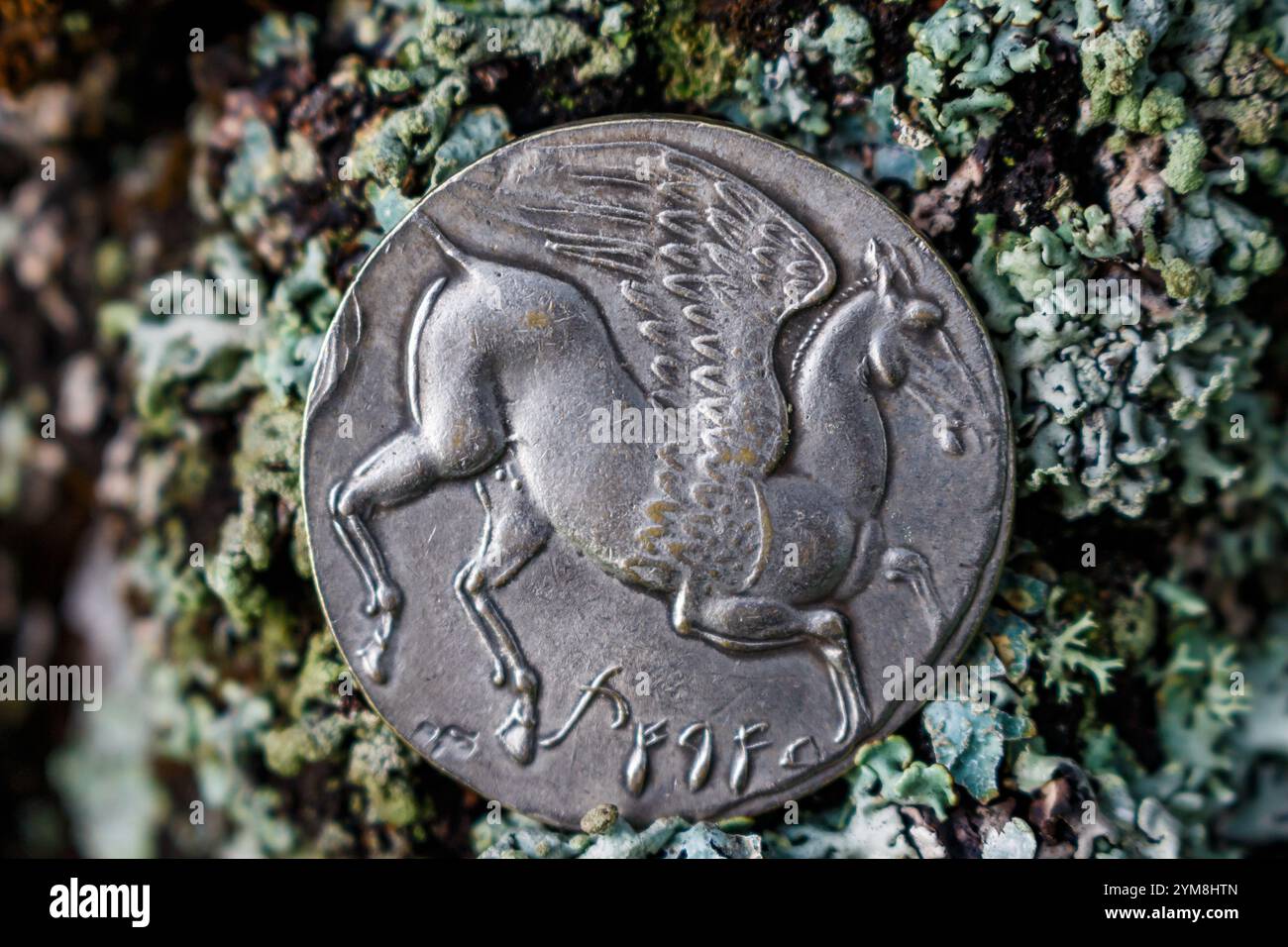 Replica of ancient Greek drachma coin with the image of Pegasus lying ...