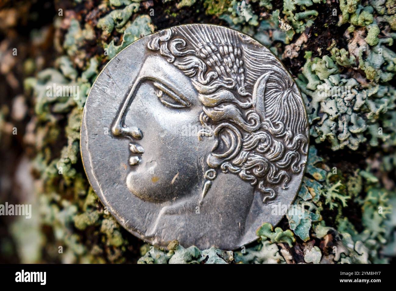 Replica of ancient Greek drachma coin lying on lichen, face of ancient ...