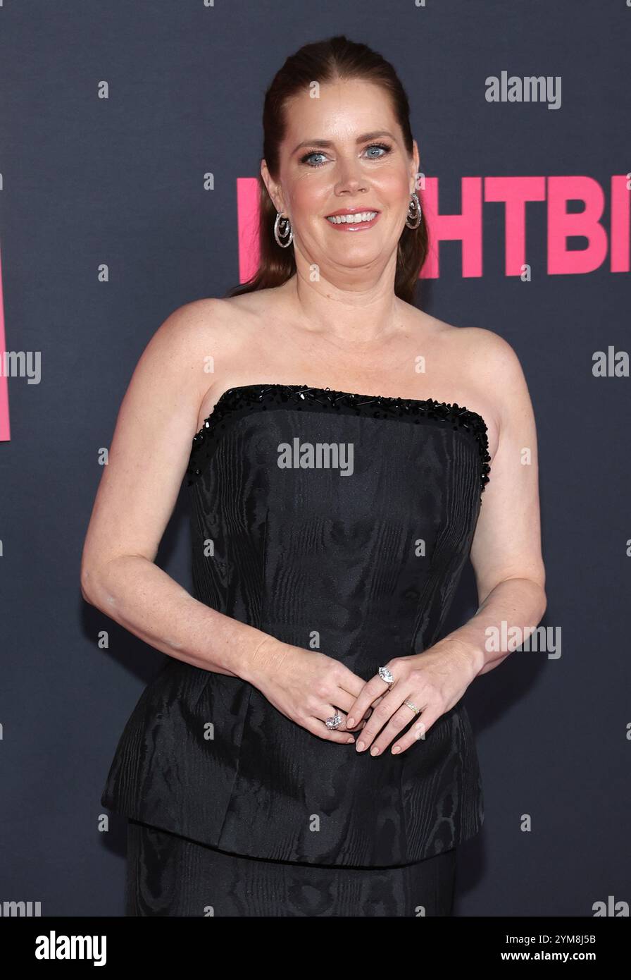 Los Angeles, Ca. 20th Nov, 2024. Amy Adams at the LA premiere of ...