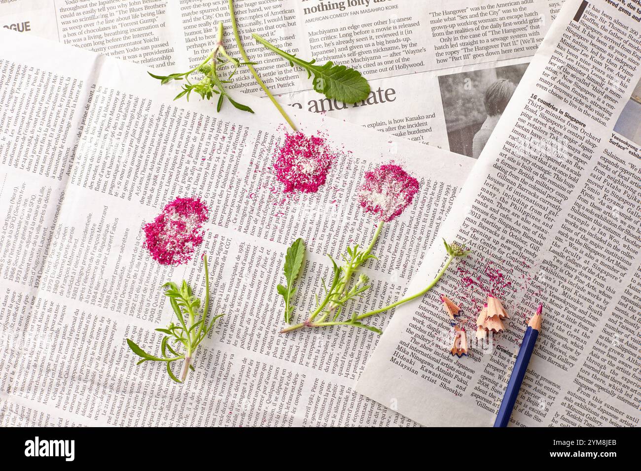 Flowers and coloured pencils on newspaper Stock Photo - Alamy