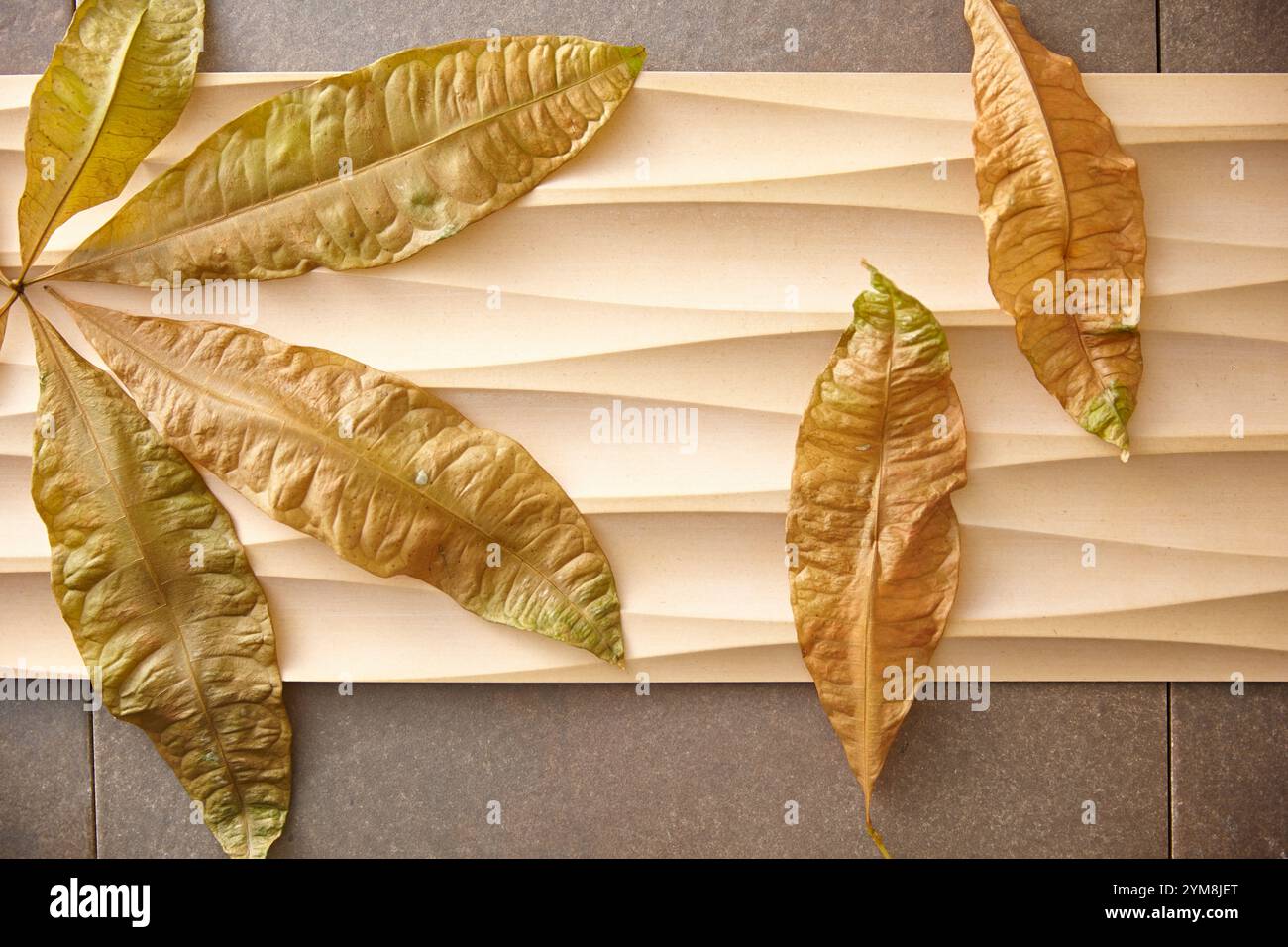 Board craft hi-res stock photography and images - Alamy