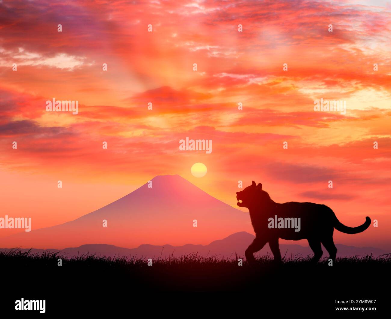 Morning sun and tiger on Mt Fuji Stock Photo - Alamy