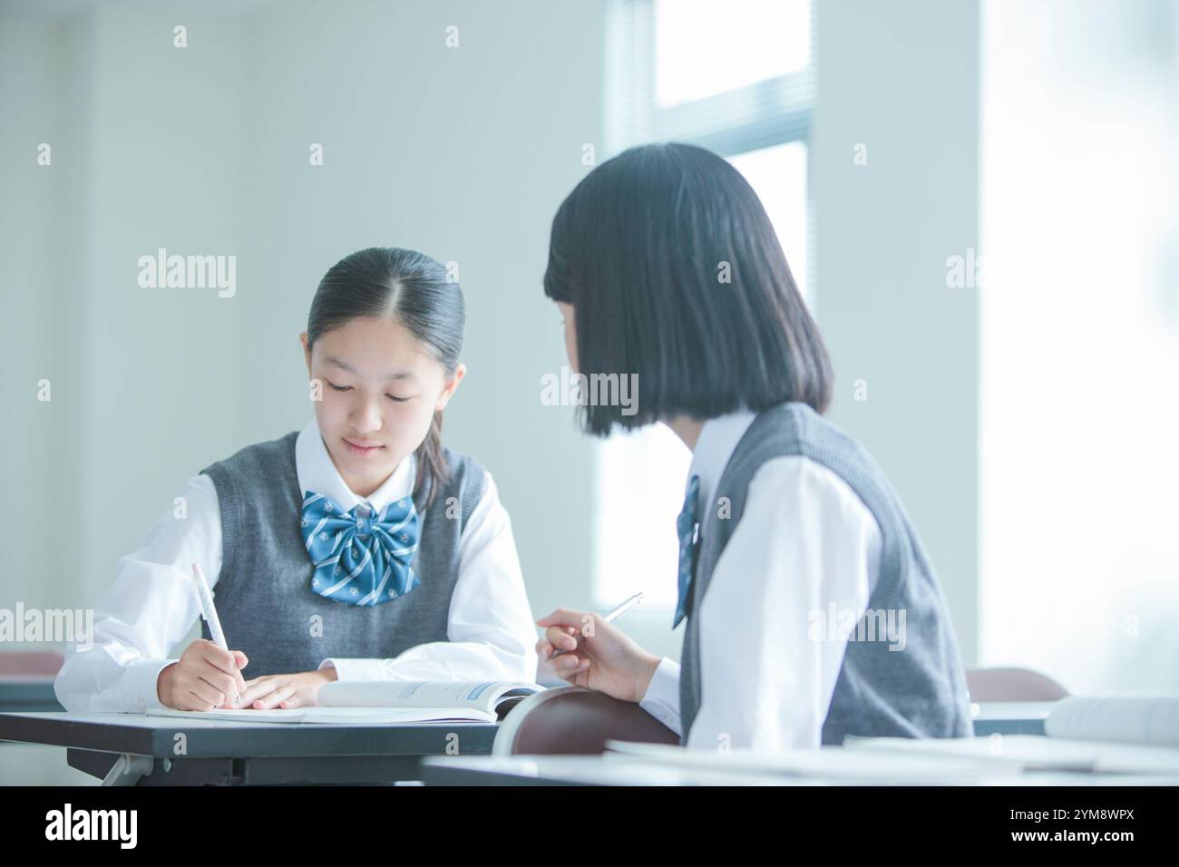 Female student studying Stock Photo - Alamy