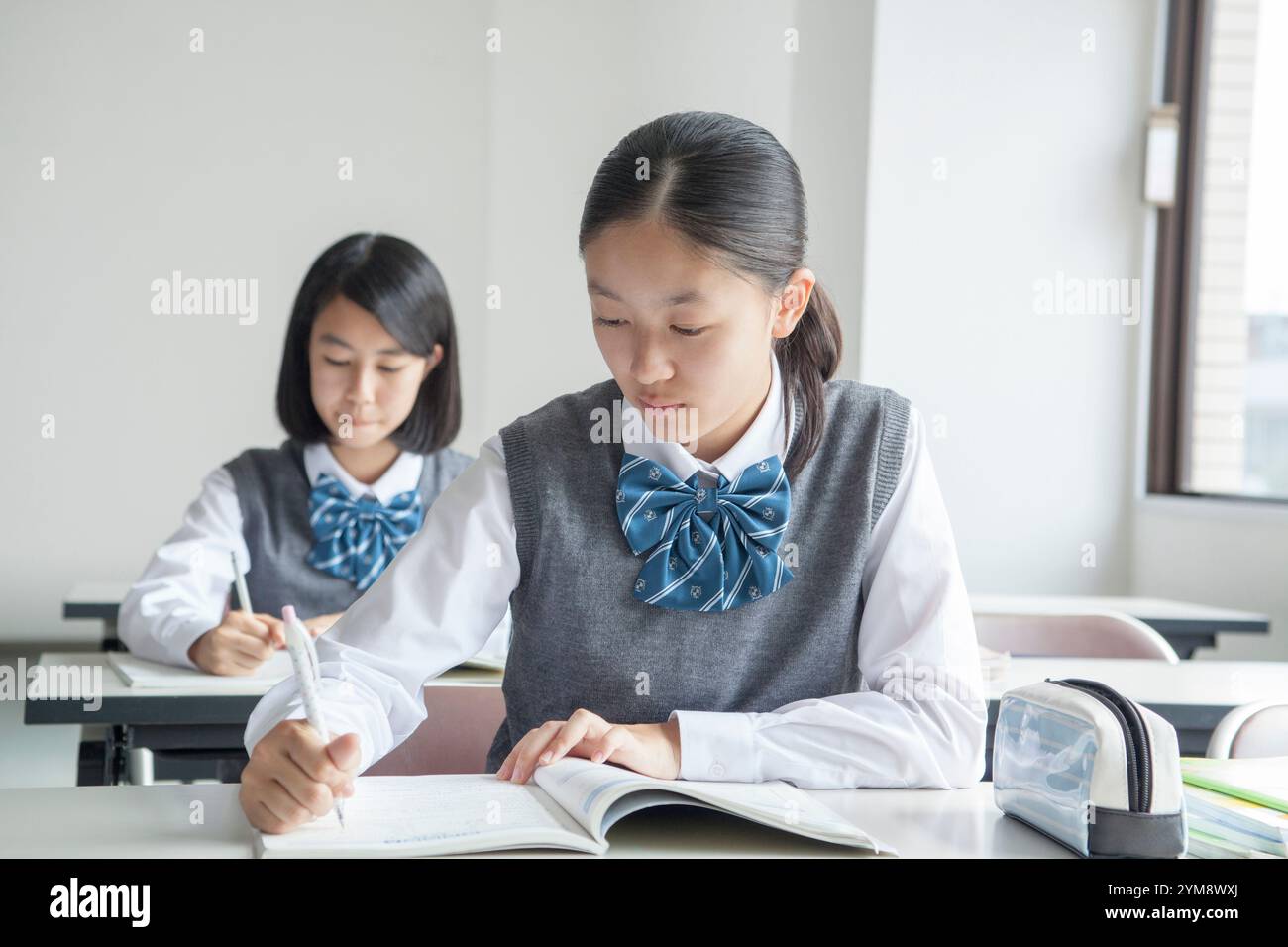 Female student studying Stock Photo - Alamy