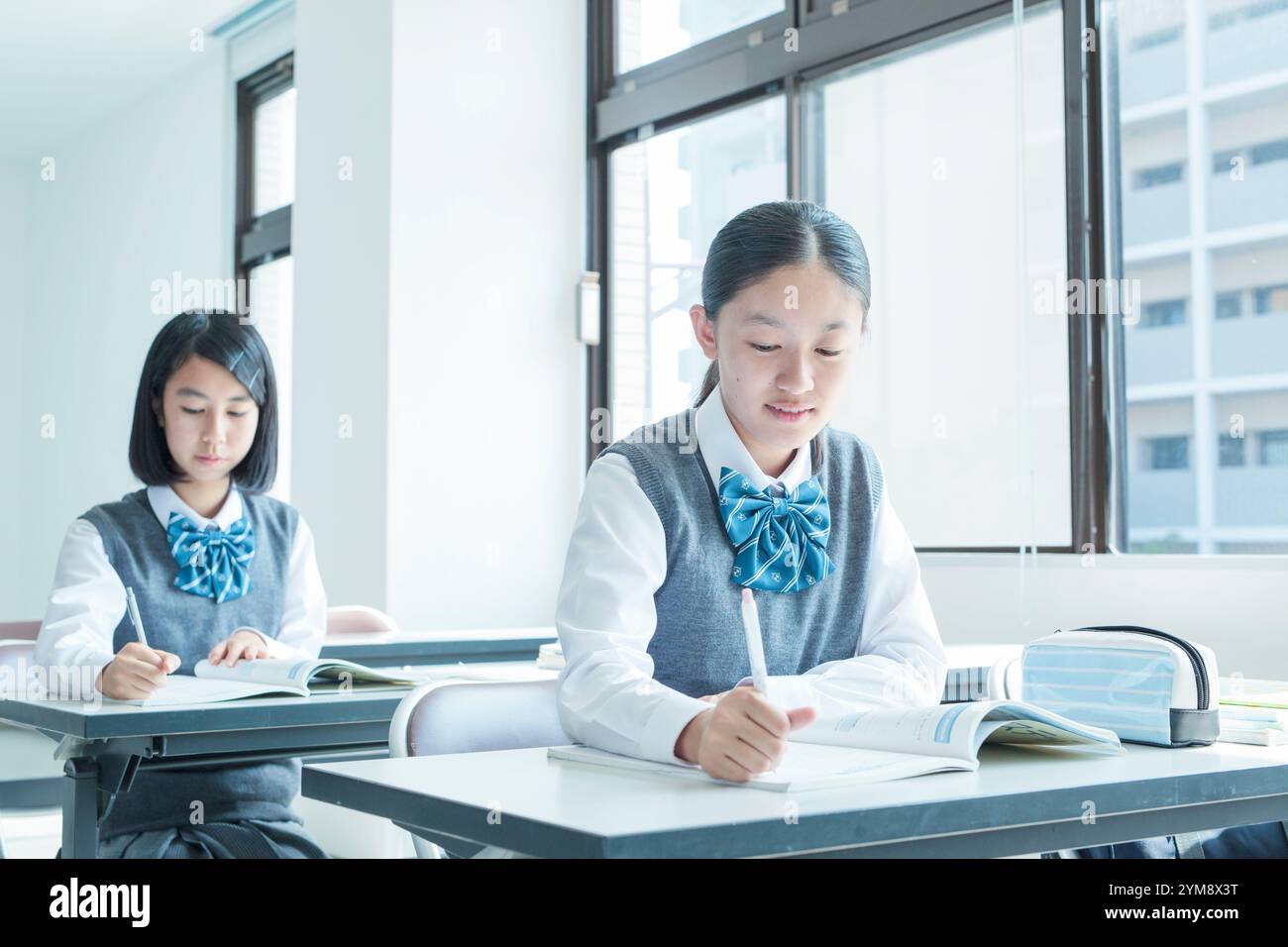 Female student studying Stock Photo - Alamy