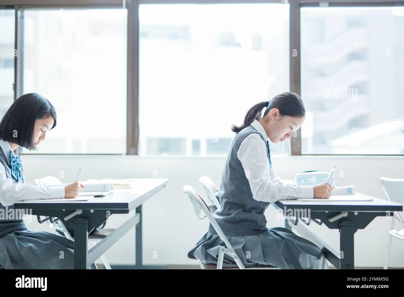 Female student studying Stock Photo - Alamy
