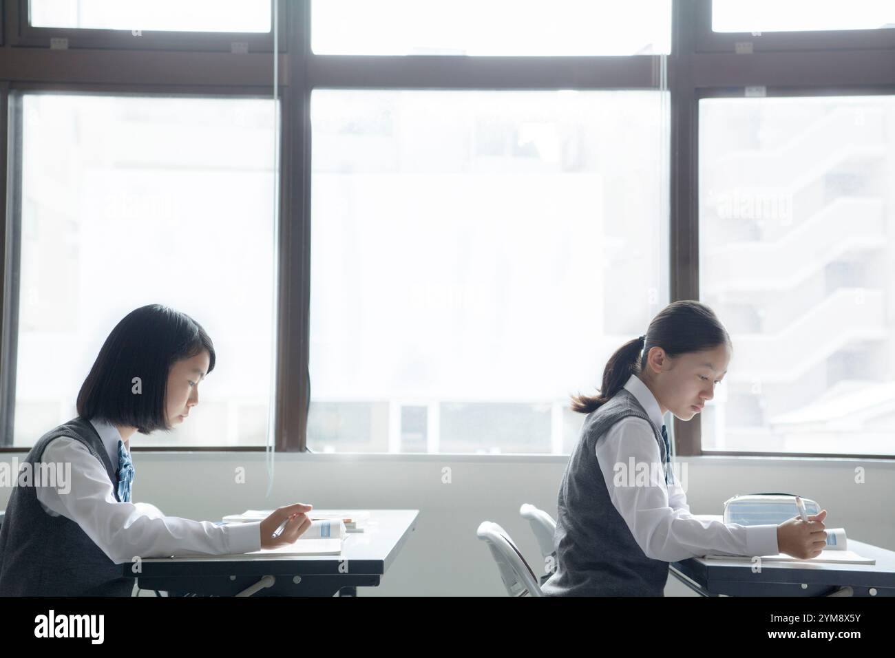 Female student studying Stock Photo - Alamy
