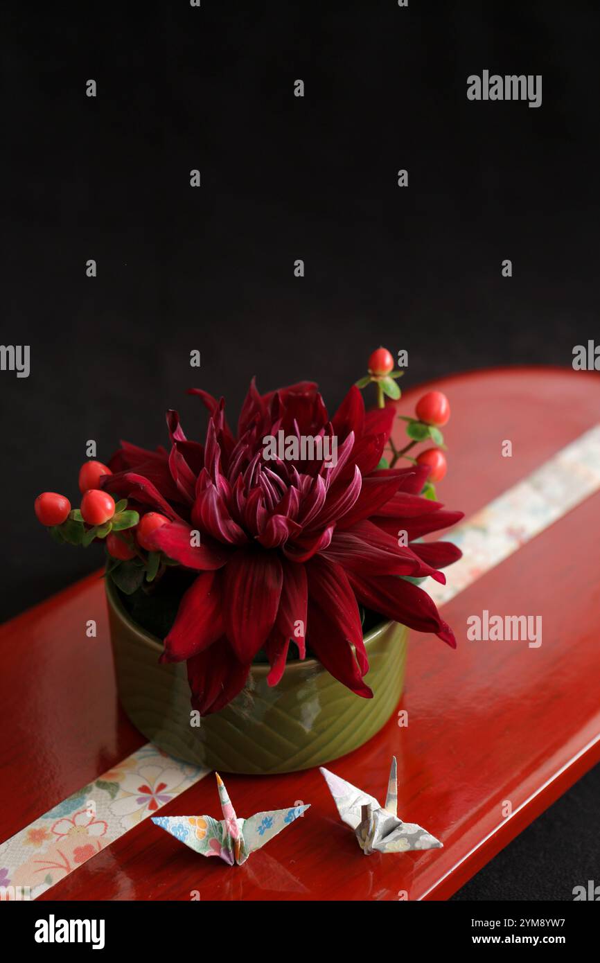 New Year flower arrangements Stock Photo - Alamy