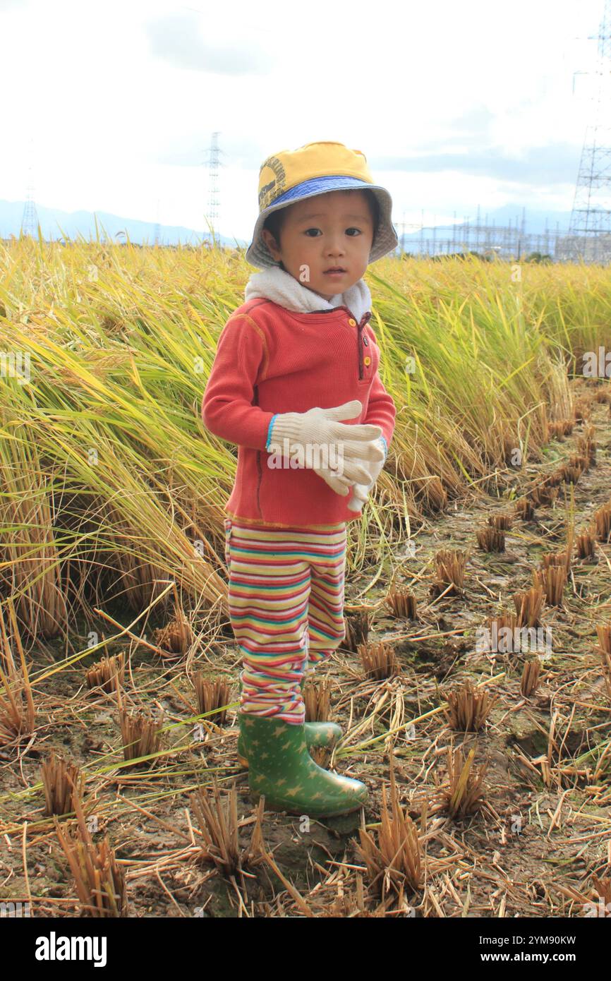 Japanese rural lifestyle hi-res stock photography and images - Alamy