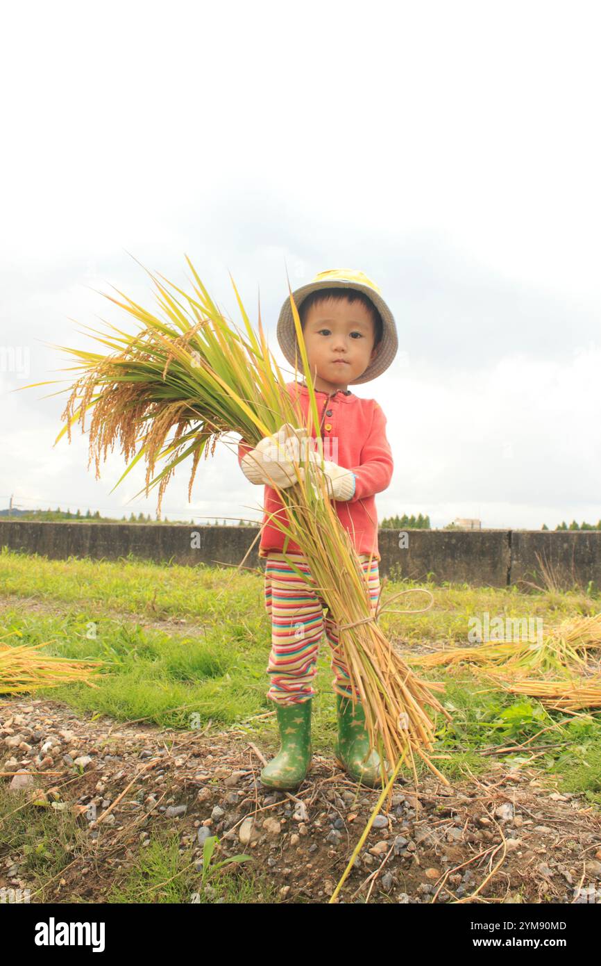 Boy holding rice Stock Photo - Alamy