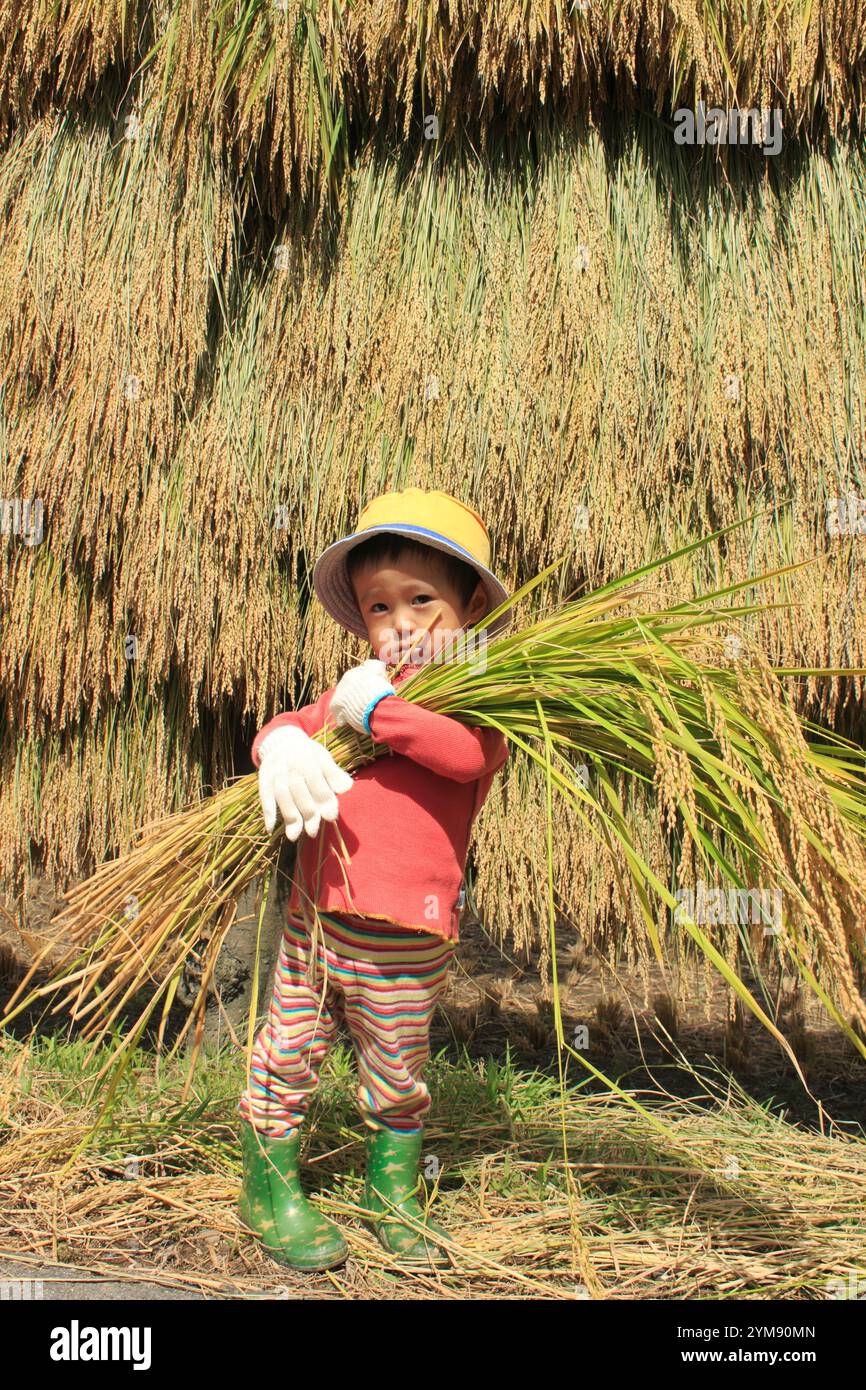 Boy holding rice Stock Photo - Alamy