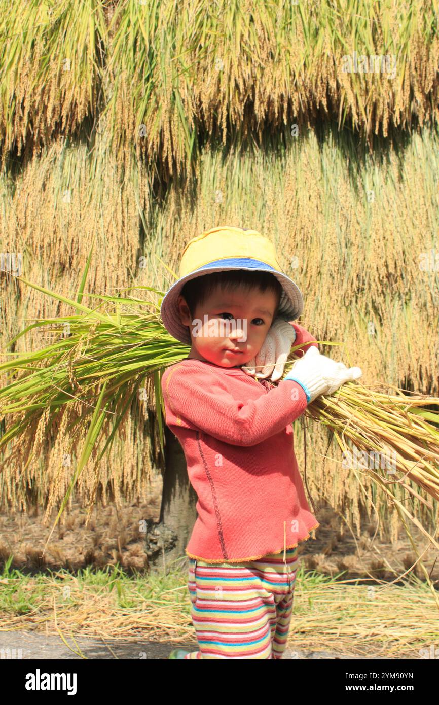 Boy holding rice Stock Photo - Alamy
