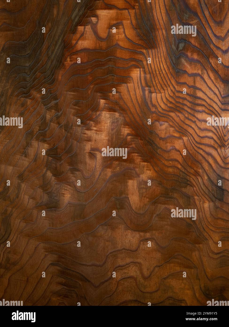 Cedar board with beautiful wood grain Stock Photo - Alamy