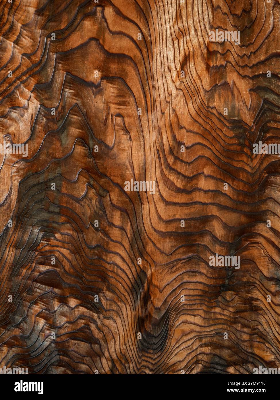 Cedar board with beautiful wood grain Stock Photo - Alamy