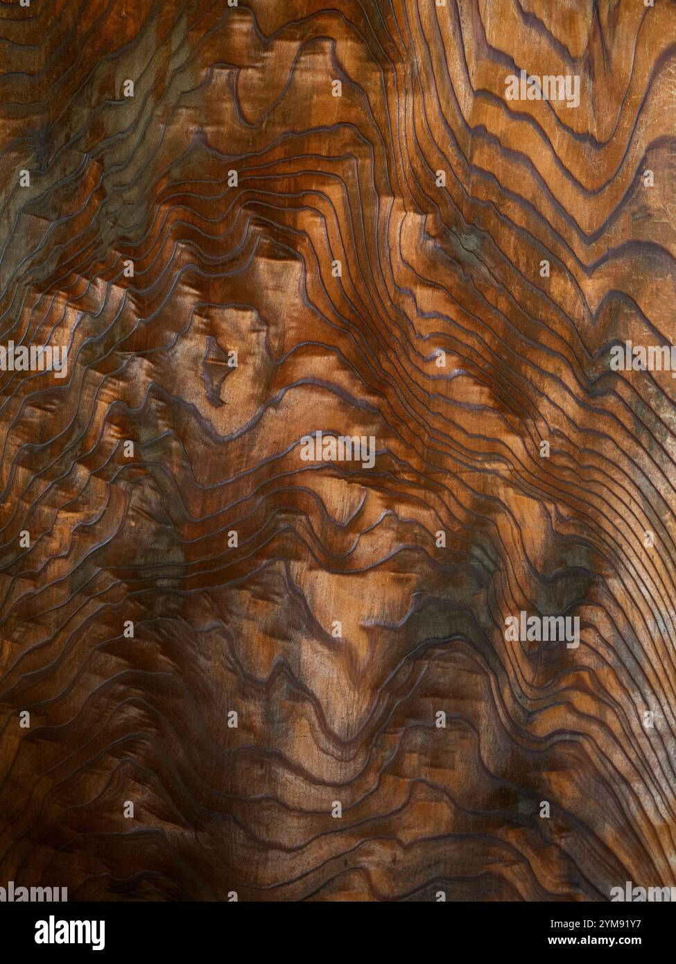 Cedar board with beautiful wood grain Stock Photo - Alamy