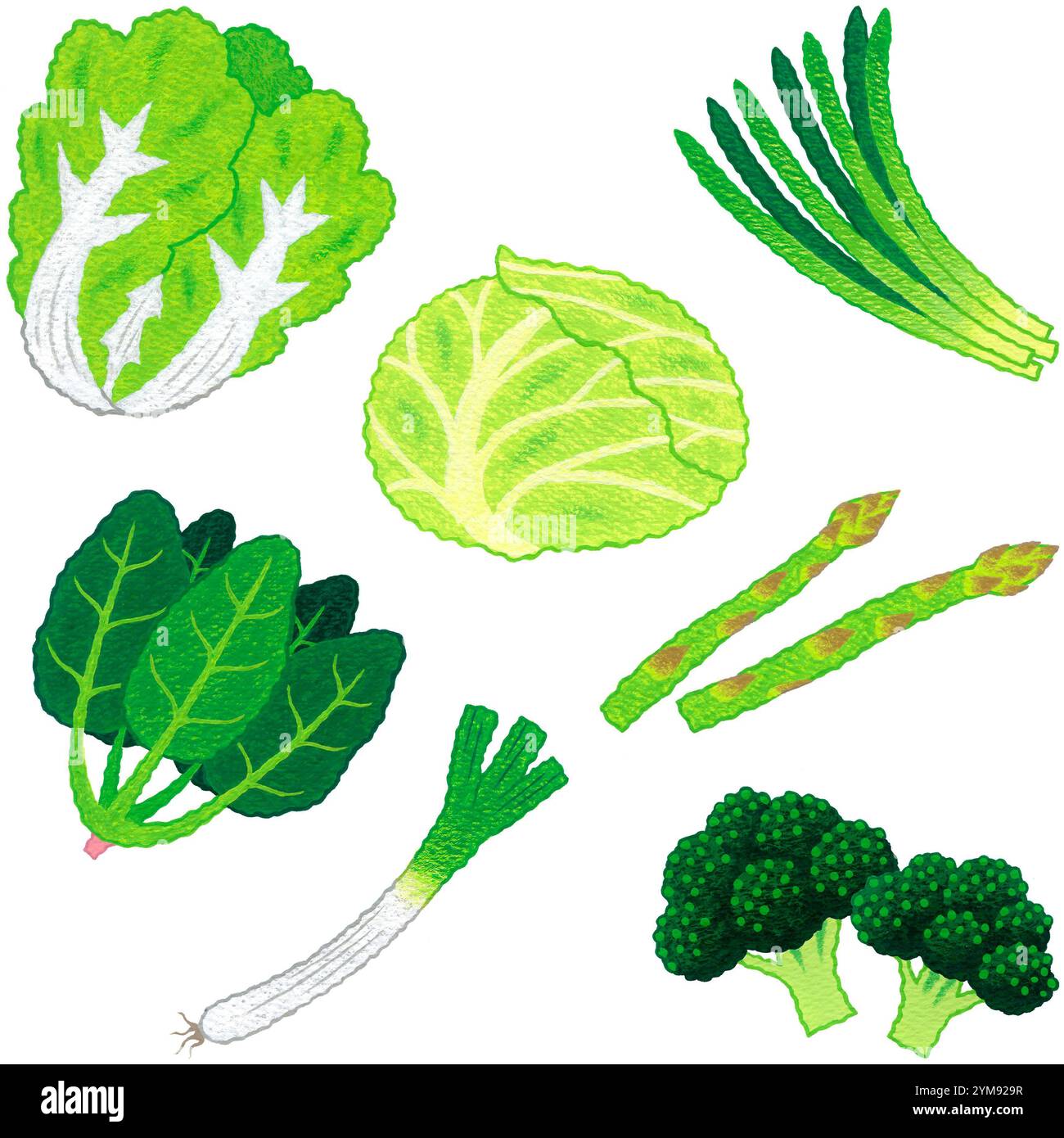 Stem vegetables Cut Out Stock Images & Pictures - Alamy
