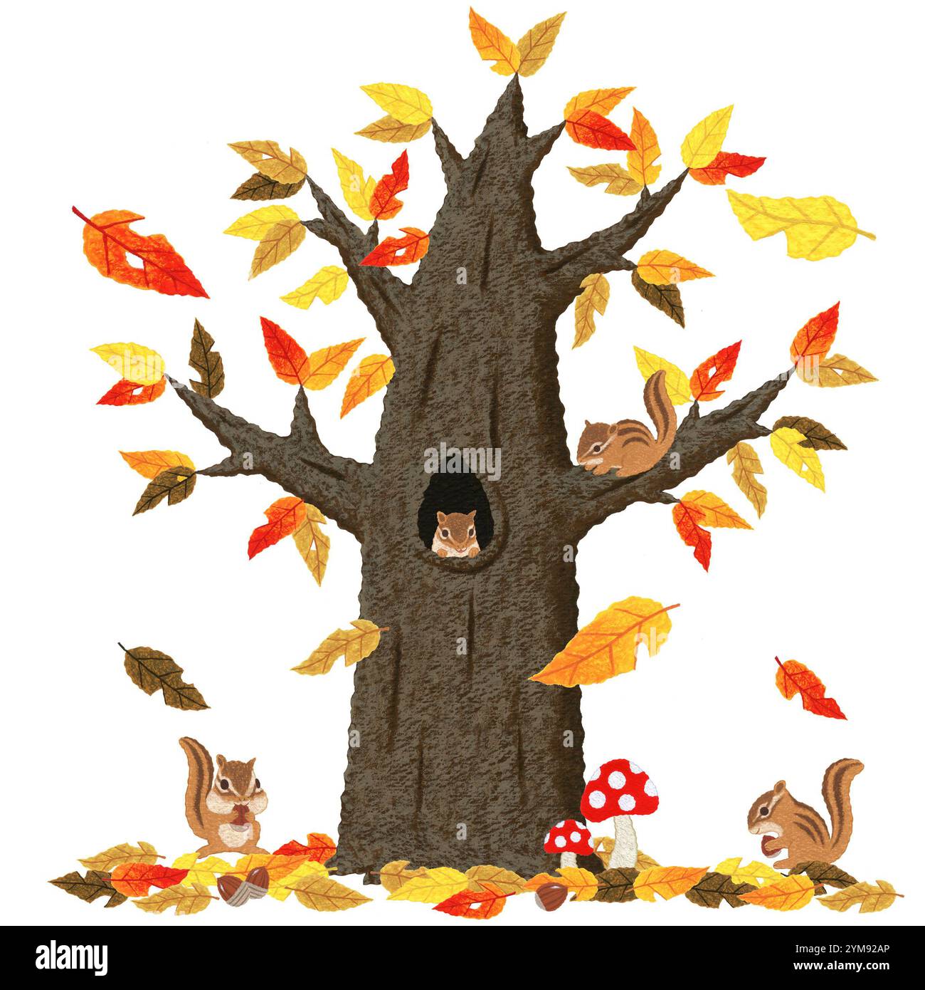 Tree fallen tree Cut Out Stock Images & Pictures - Alamy