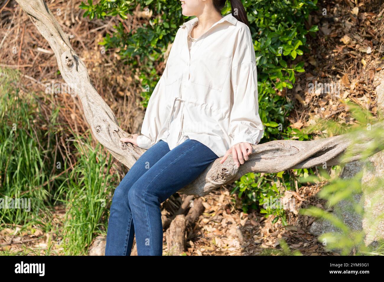 Swing made tree trunks hi-res stock photography and images - Alamy