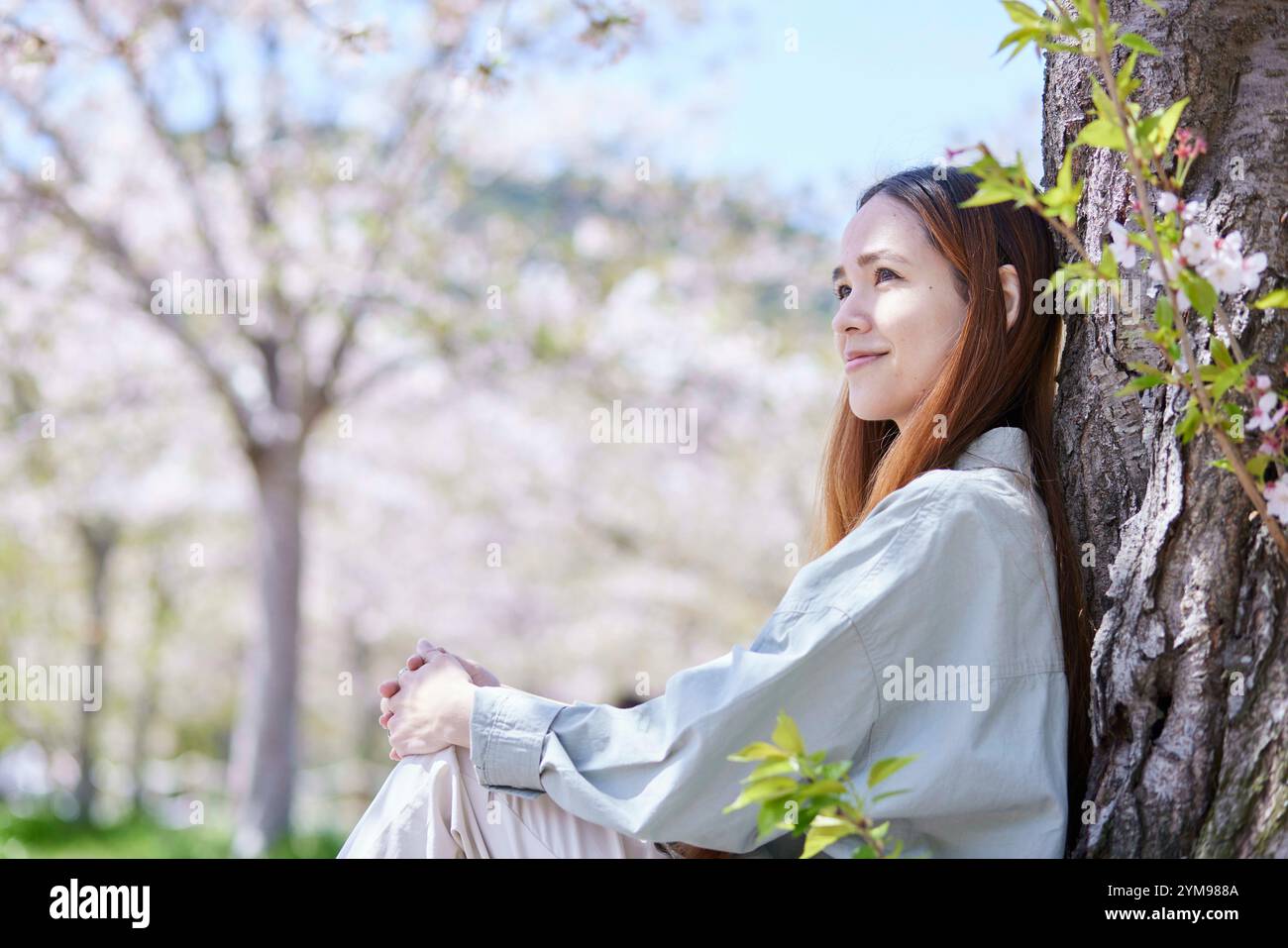 Foreign tourist woman relaxing under a cherry tree Stock Photo - Alamy