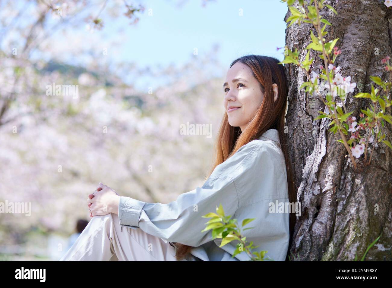 Foreign tourist woman relaxing under a cherry tree Stock Photo - Alamy
