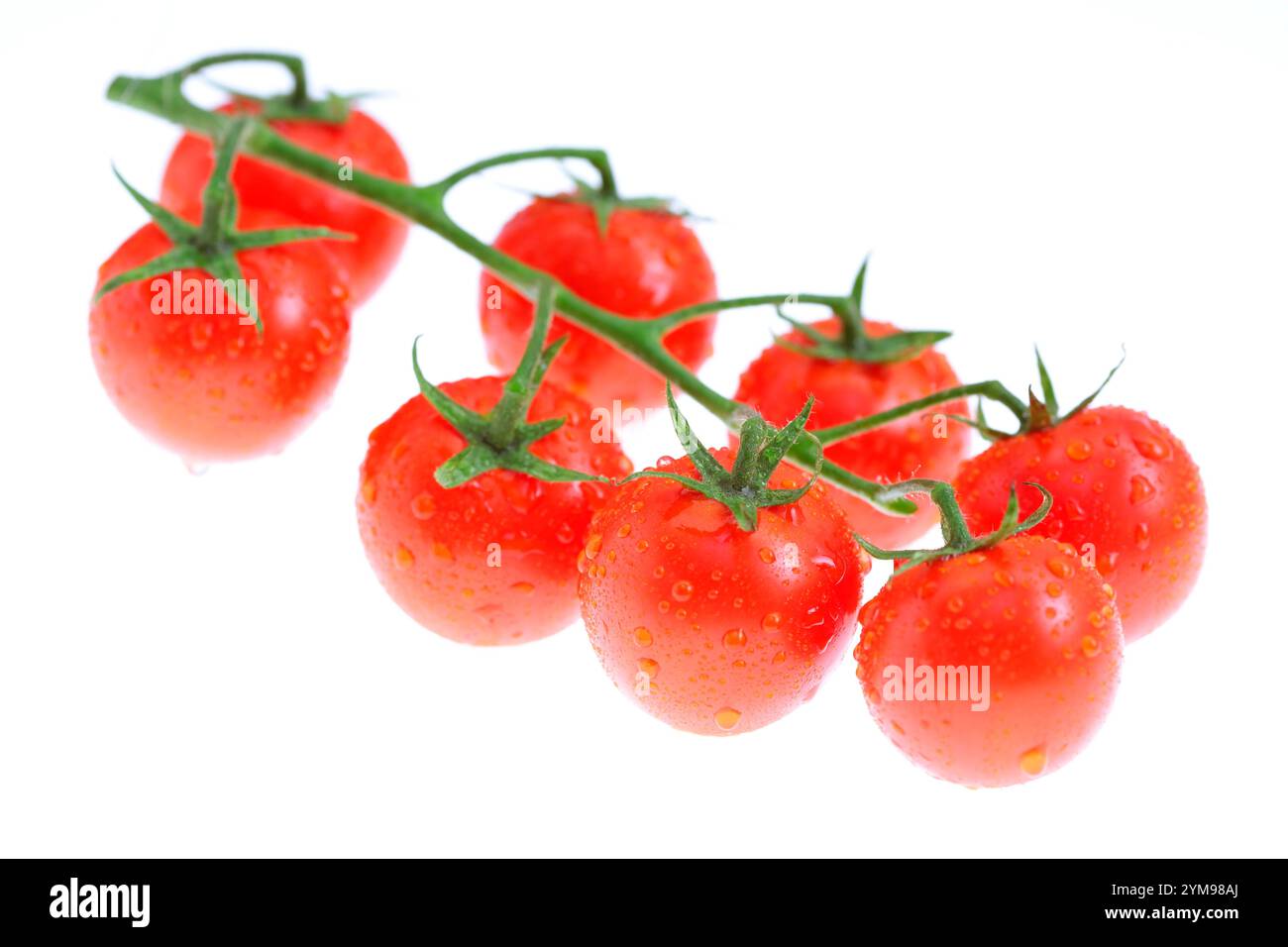 Image of miniature tomatoes Stock Photo - Alamy