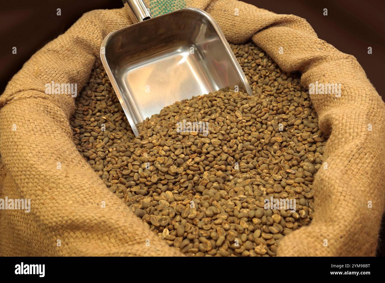 Raw coffee beans Stock Photo - Alamy