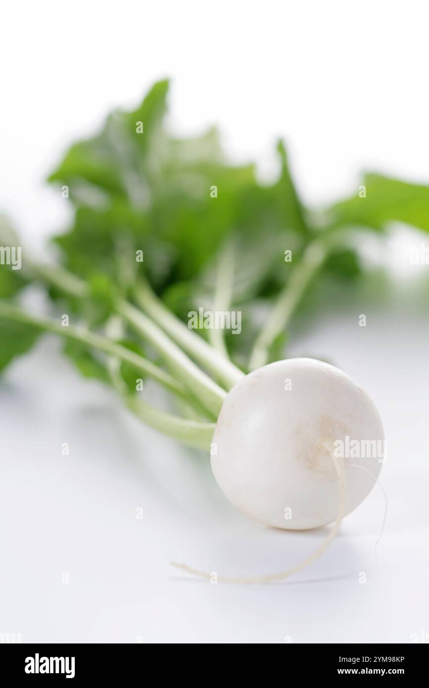 Vegetable hood hi-res stock photography and images - Alamy