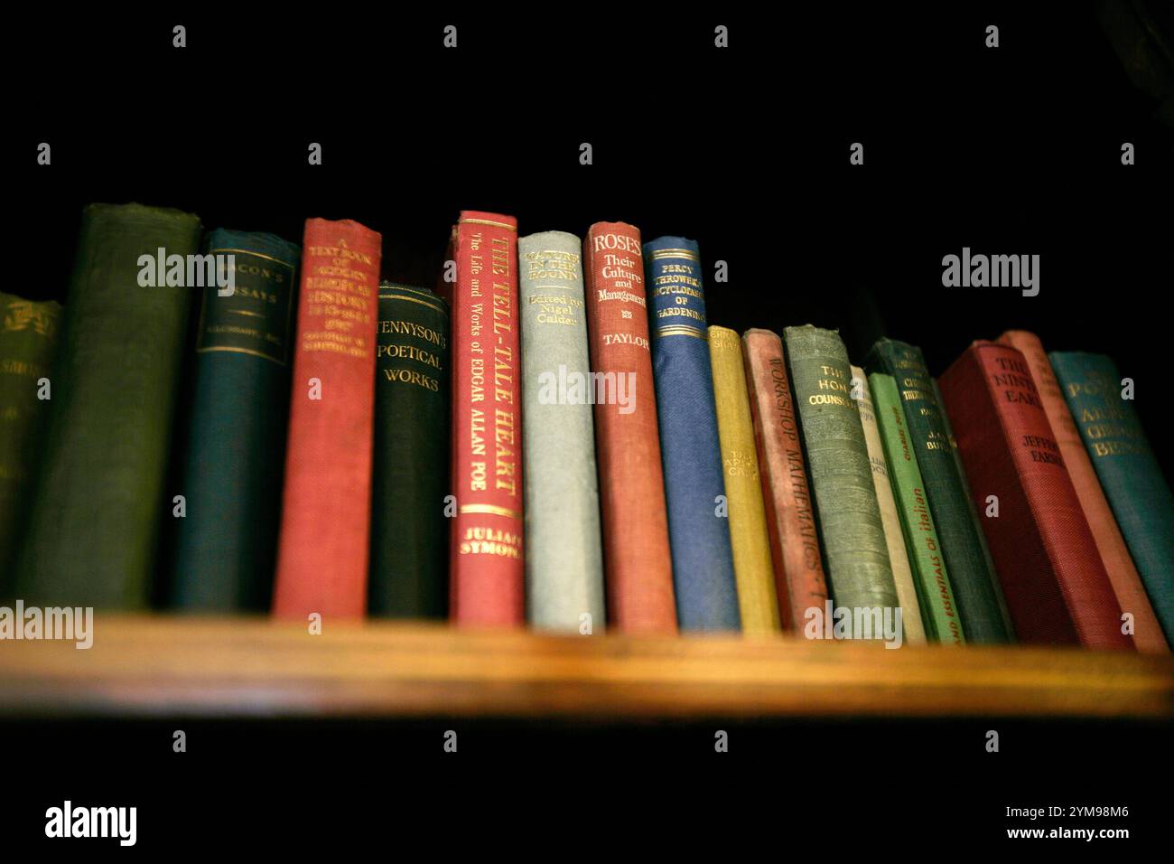 Bookshelf of Western books Stock Photo - Alamy