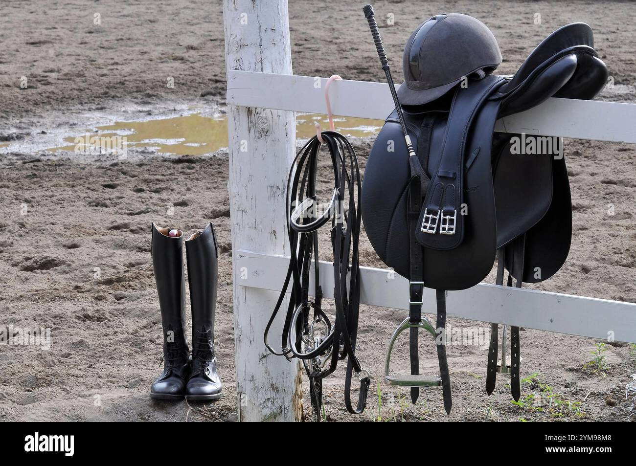 Image of horse riding harness Stock Photo - Alamy