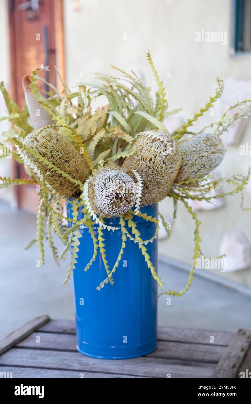 Dried banksia hi-res stock photography and images - Alamy